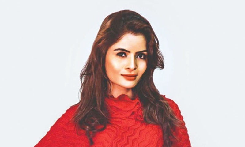 فحش‘ فلمیں بنانے کے الزام میں گرفتار اداکارہ پر گینگ ریپ‘ کا مقدمہ Daily Bollywood News